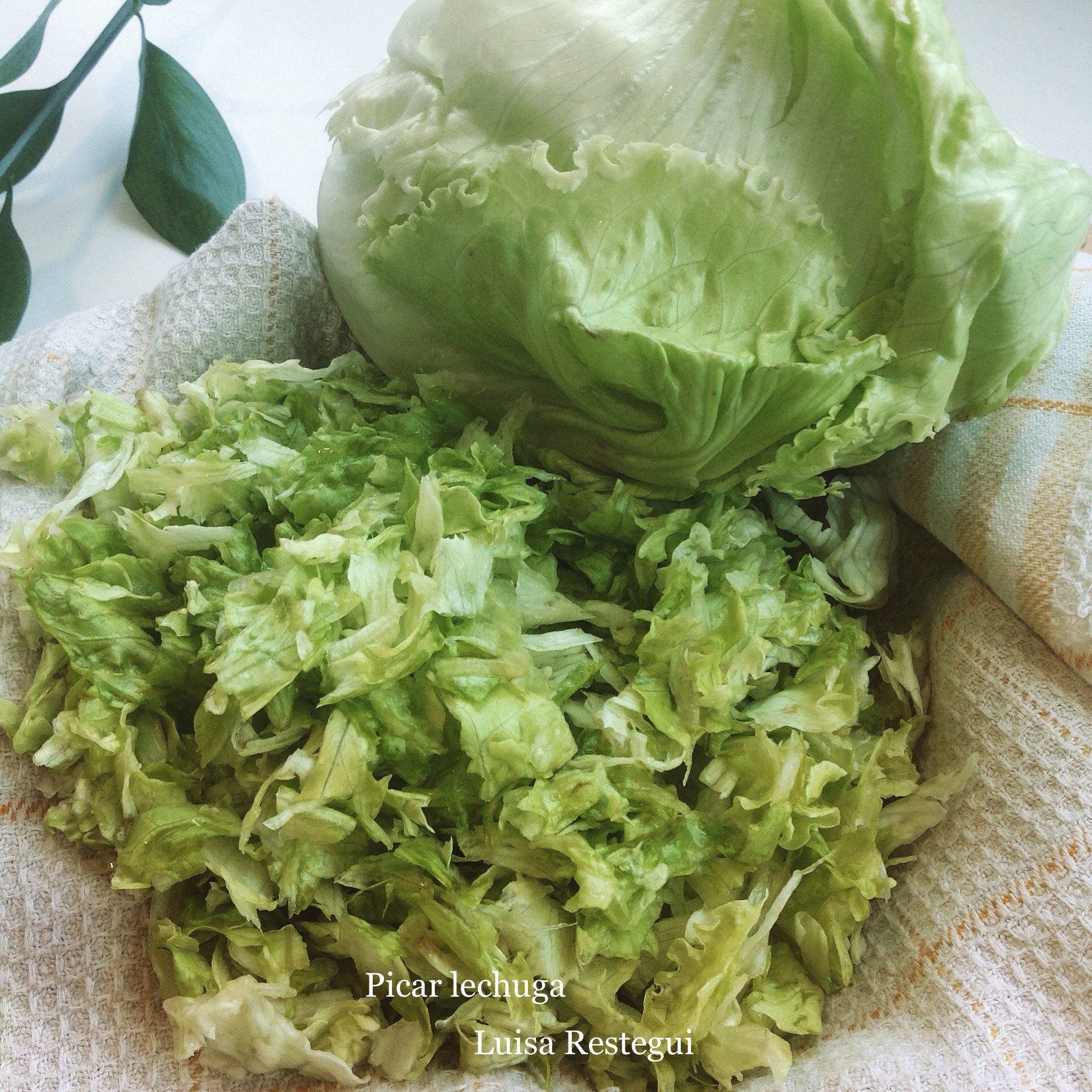 Picar lechuga por inversión truco - Técnicas básicas - Blog de Mª LUISA ...